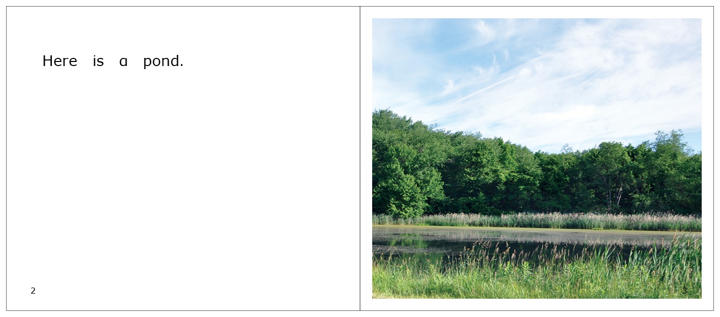 Count along as you read, Counting Frogs Around the Pond.