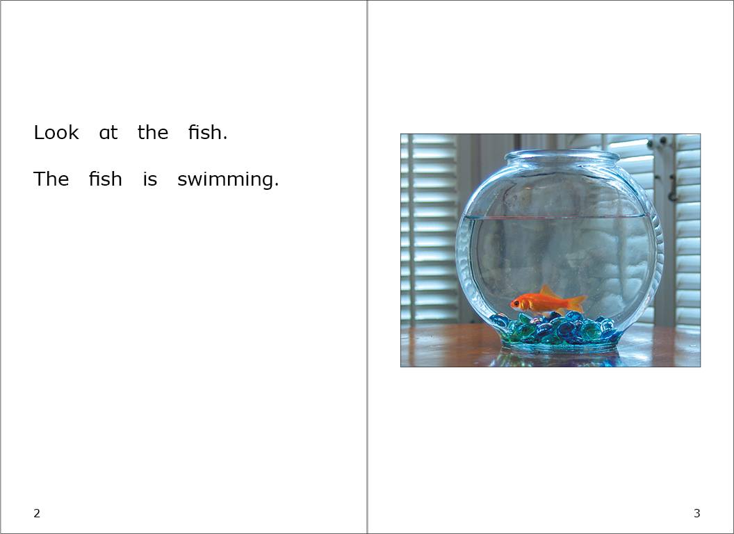 In A Fish Story, meet Fish. He lives in a fish bowl and eats fish food ...