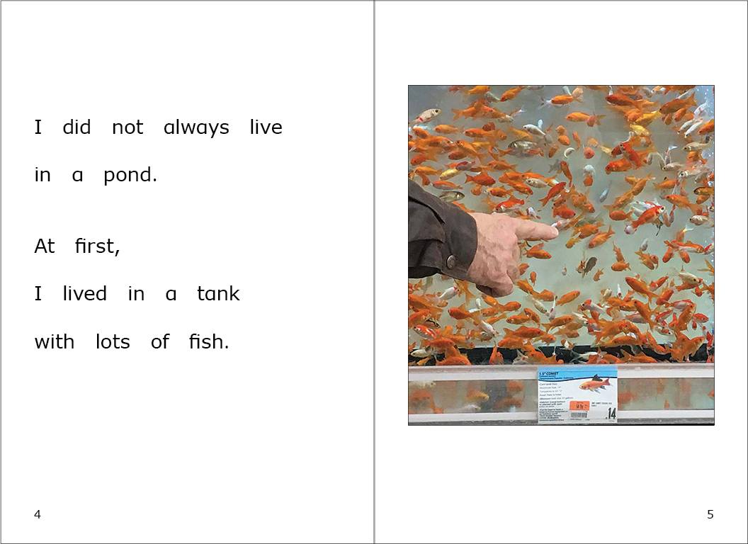 Fish Stories Set | MaryRuth Books