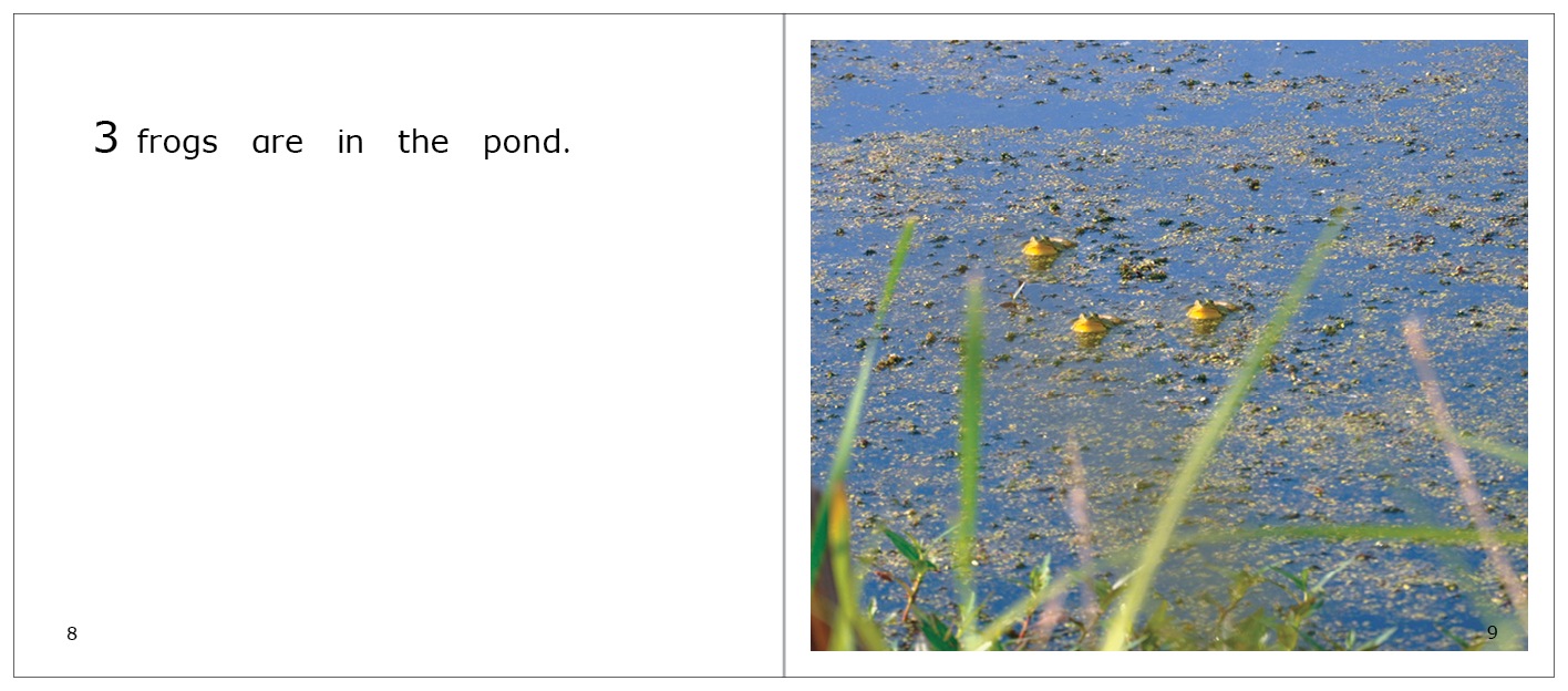 Count along as you read, Counting Frogs Around the Pond.