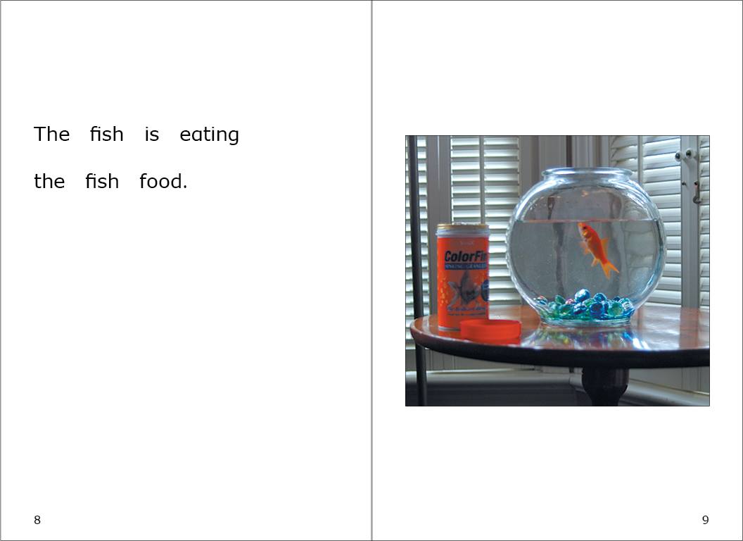 In A Fish Story, meet Fish. He lives in a fish bowl and eats fish food ...
