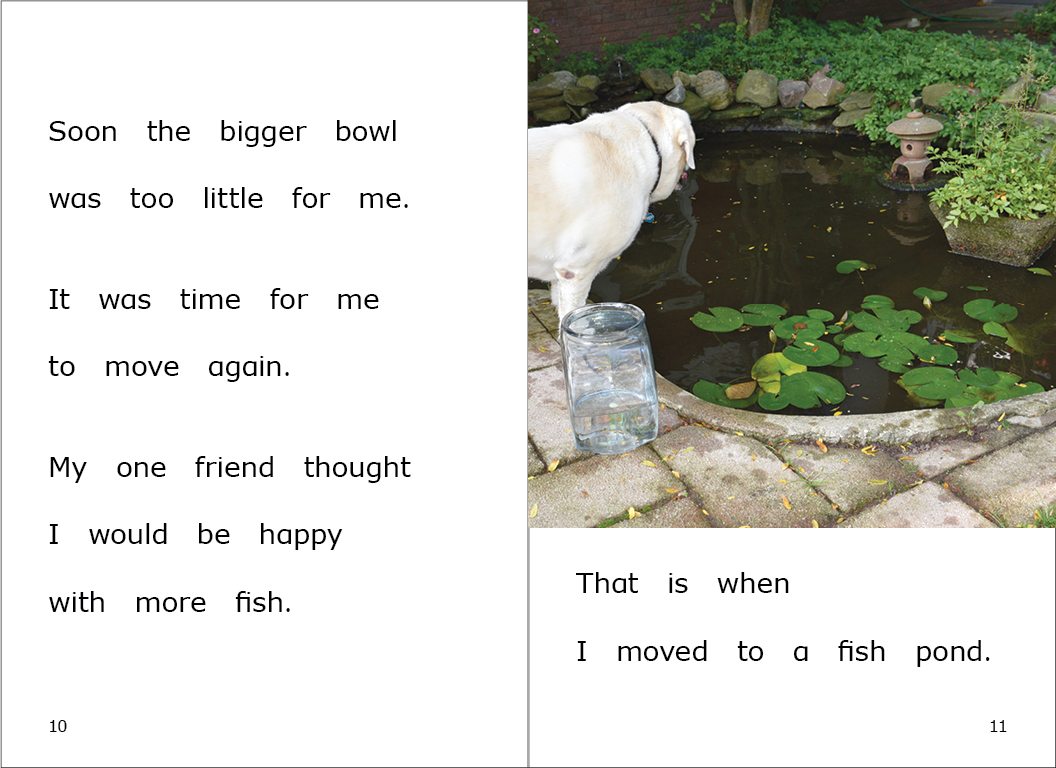 Fish Stories Set | MaryRuth Books