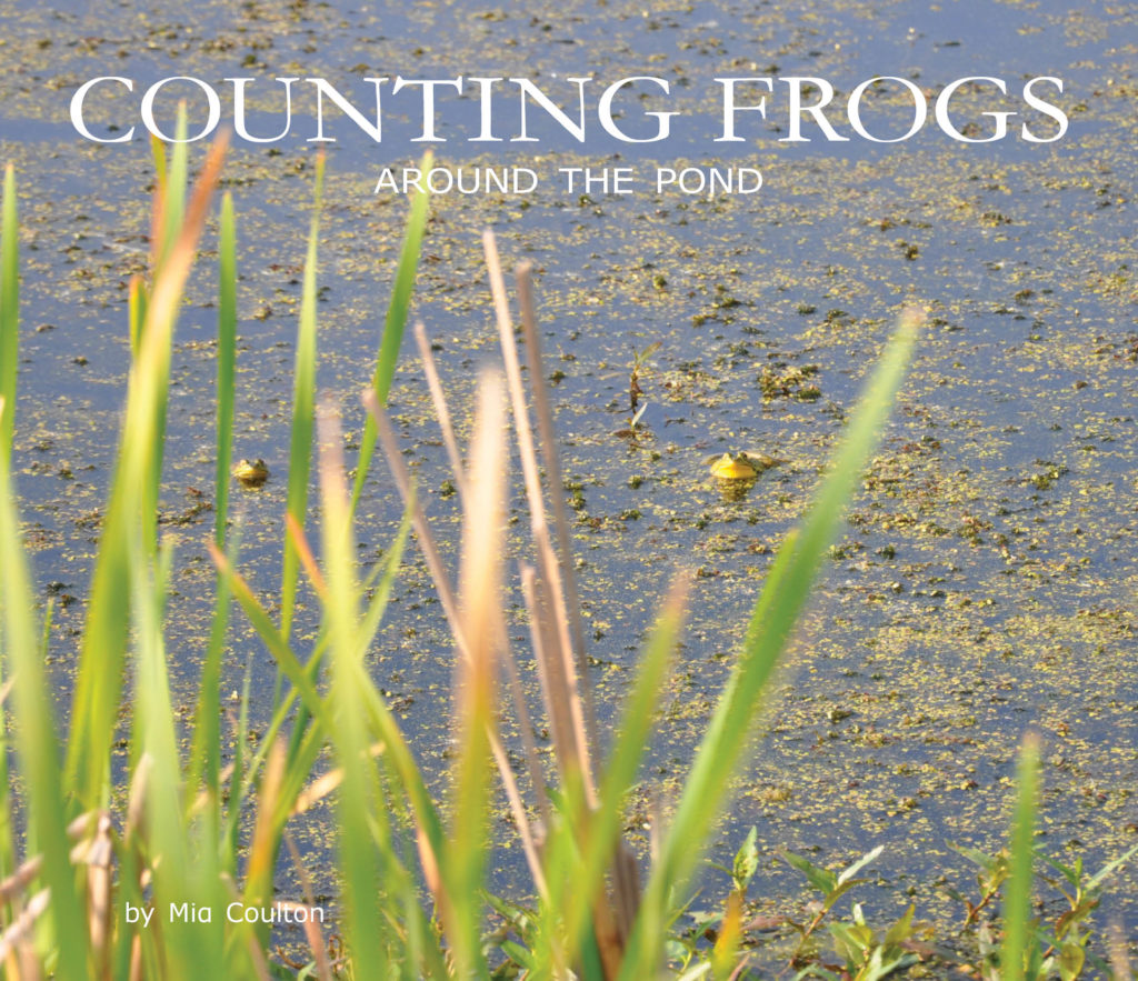 Count along as you read Counting Frogs Around the Pond.