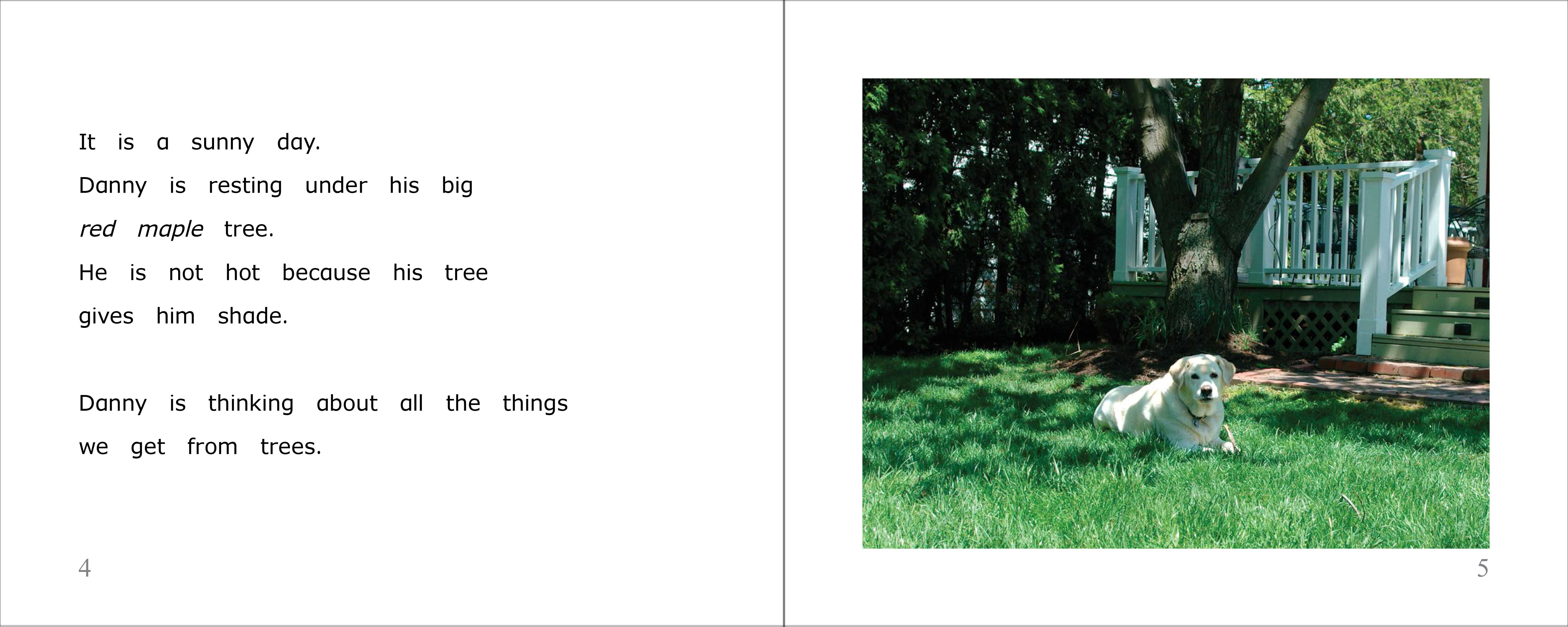 Danny thinks about all of the wonderful things that come from trees