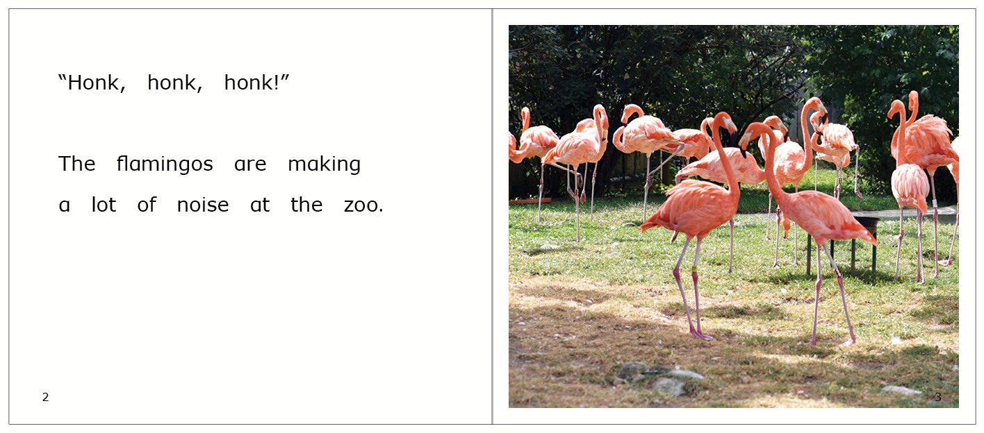 Flamingos at the Zoo is a nonfiction/informational book about flamingos.