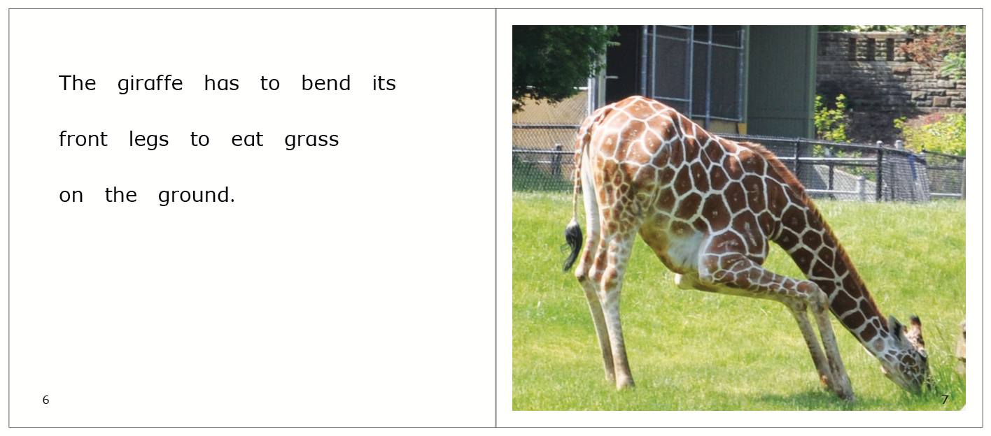 In Giraffes at the Zoo, read more about the tallest animals at the zoo.