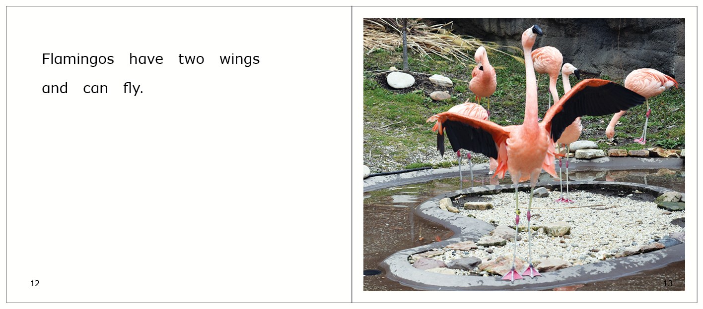 Flamingos at the Zoo is a nonfiction/informational book about flamingos.