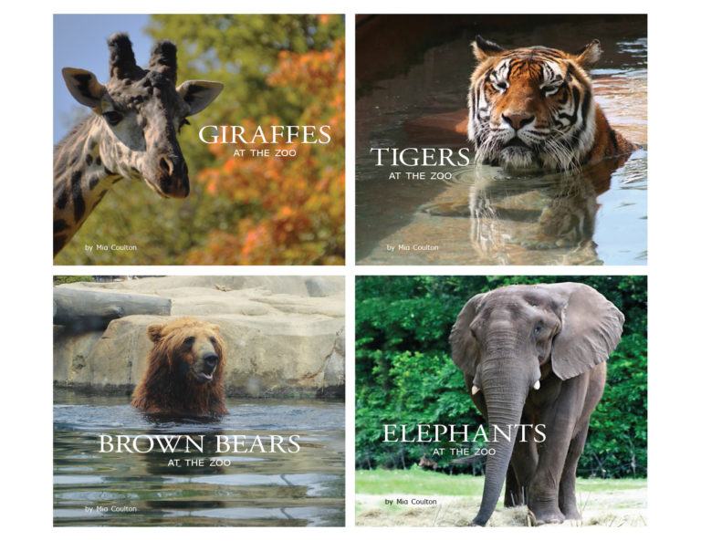 Read about one of the fastest land animals at the zoo.