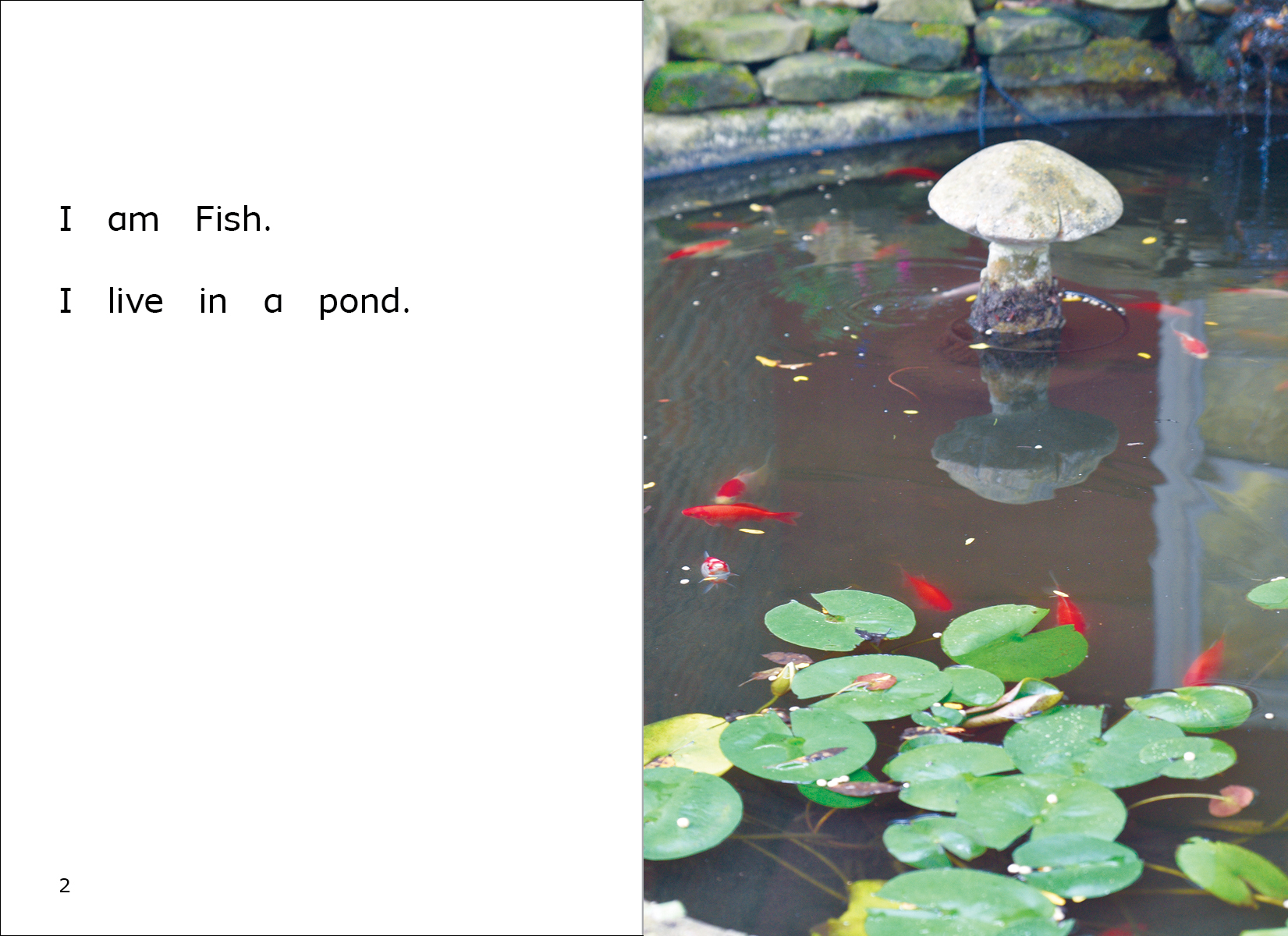 Fish keeps getting bigger and will soon outgrow his fishbowl.