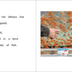 Fish keeps getting bigger and will soon outgrow his fishbowl.