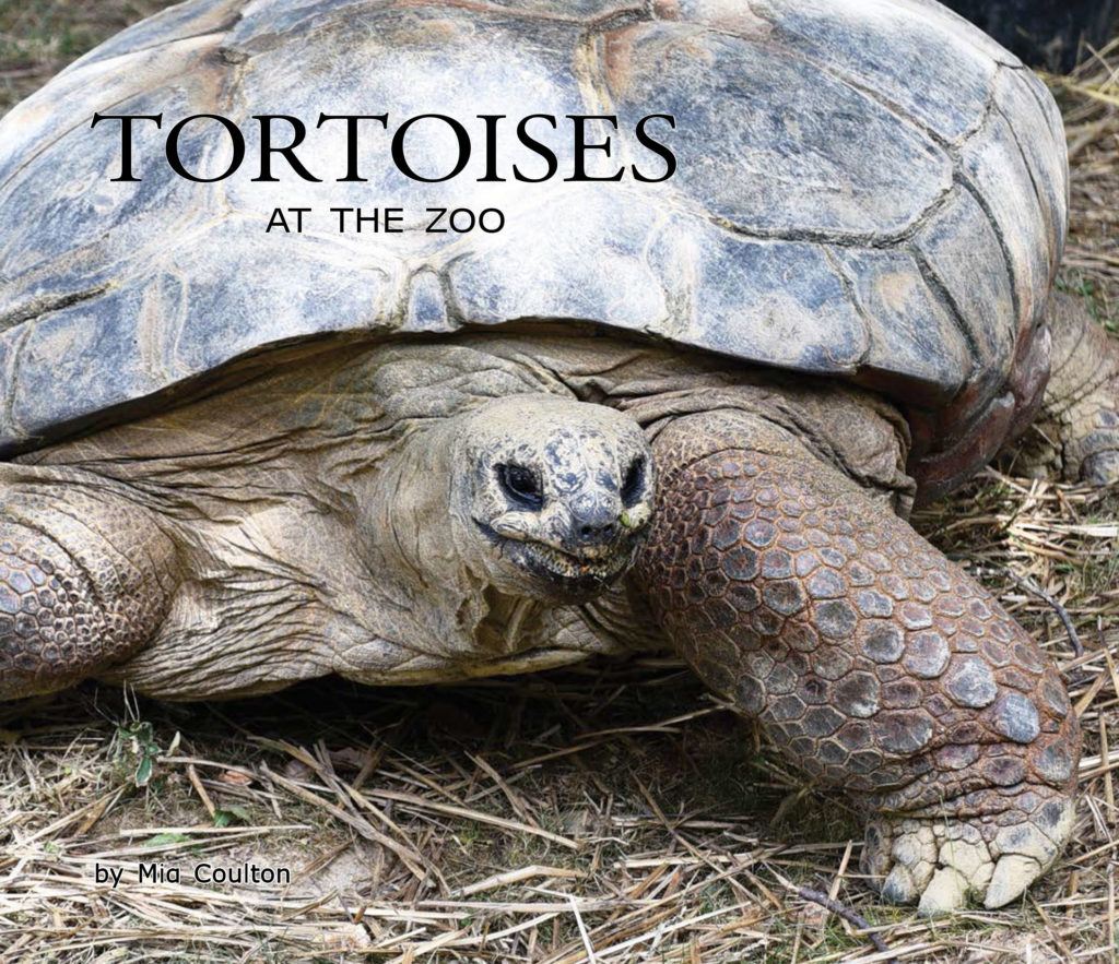 Learn more about the tortoise, one of the longest-living land animals.
