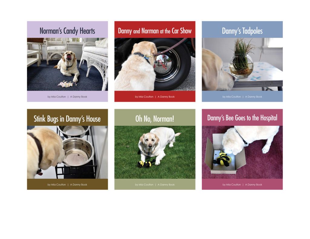 Set 14 - I Dream of Danny | MaryRuth Books Set 14 - I Dream of Danny