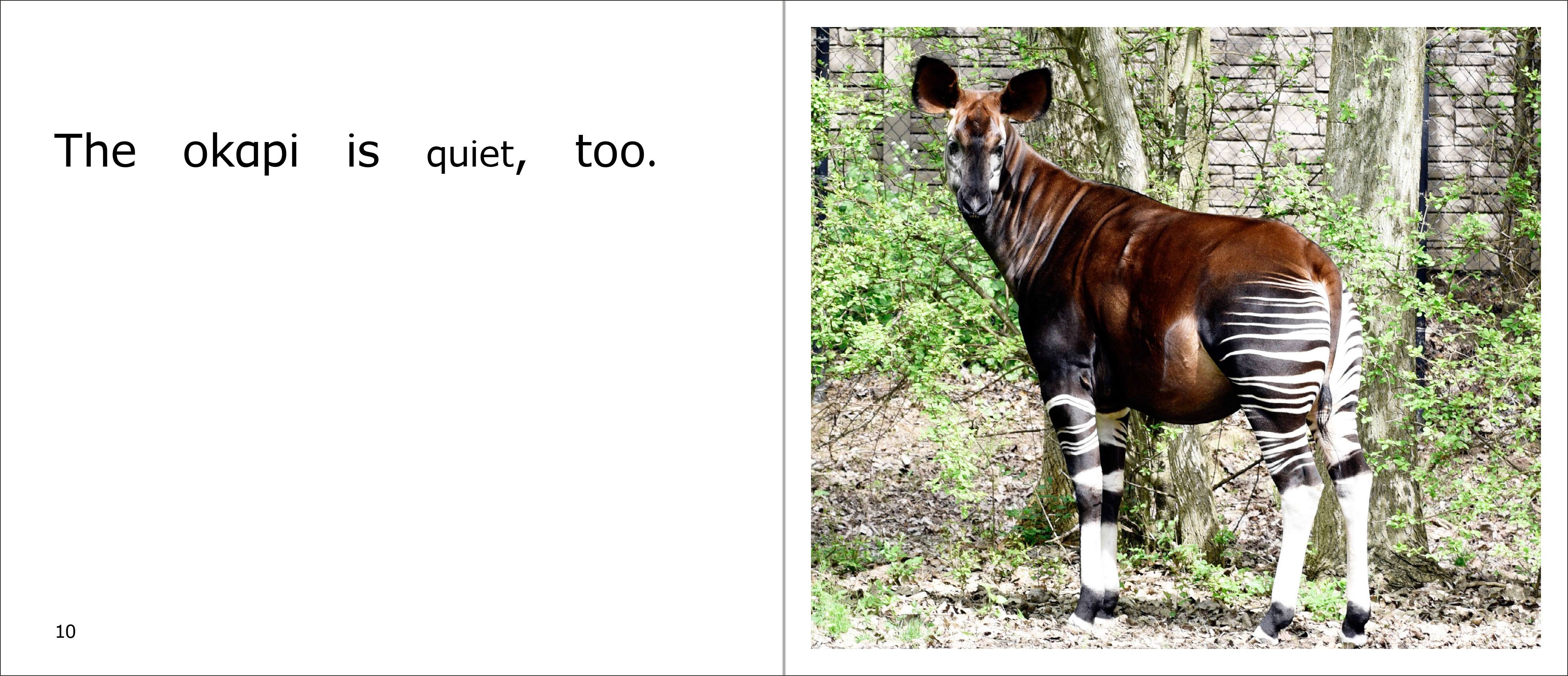 In Loud and Quiet at the Zoo, some animals at the zoo make loud noises ...