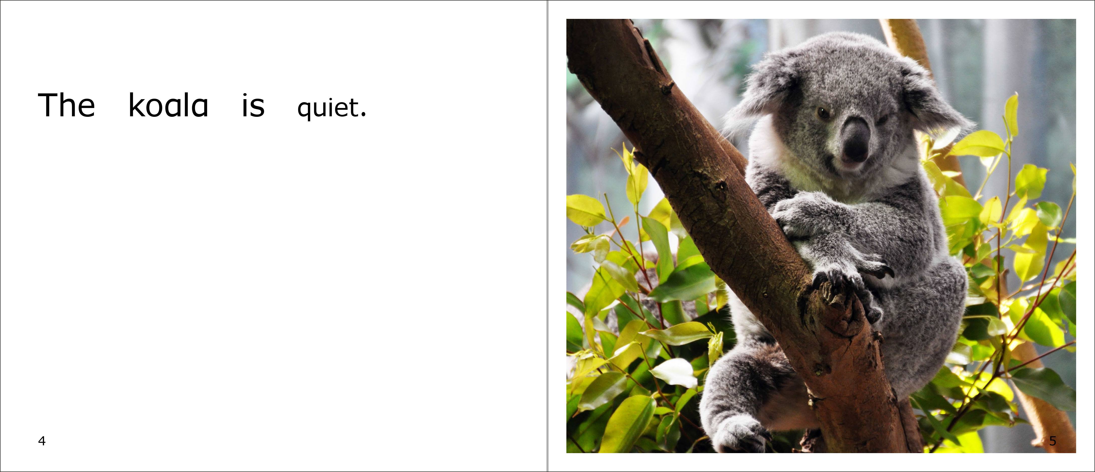 In Loud and Quiet at the Zoo, some animals at the zoo make loud noises ...