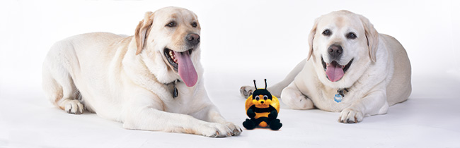 Meet the Authors & People Behind MaryRuth Books