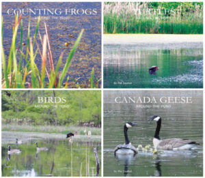 In The Pond, learn about animals who live in and around a pond.