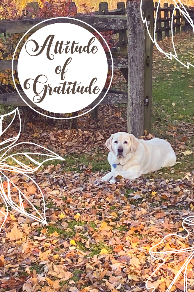 Books for Early Reading