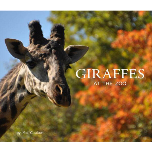 Explore Danny's World