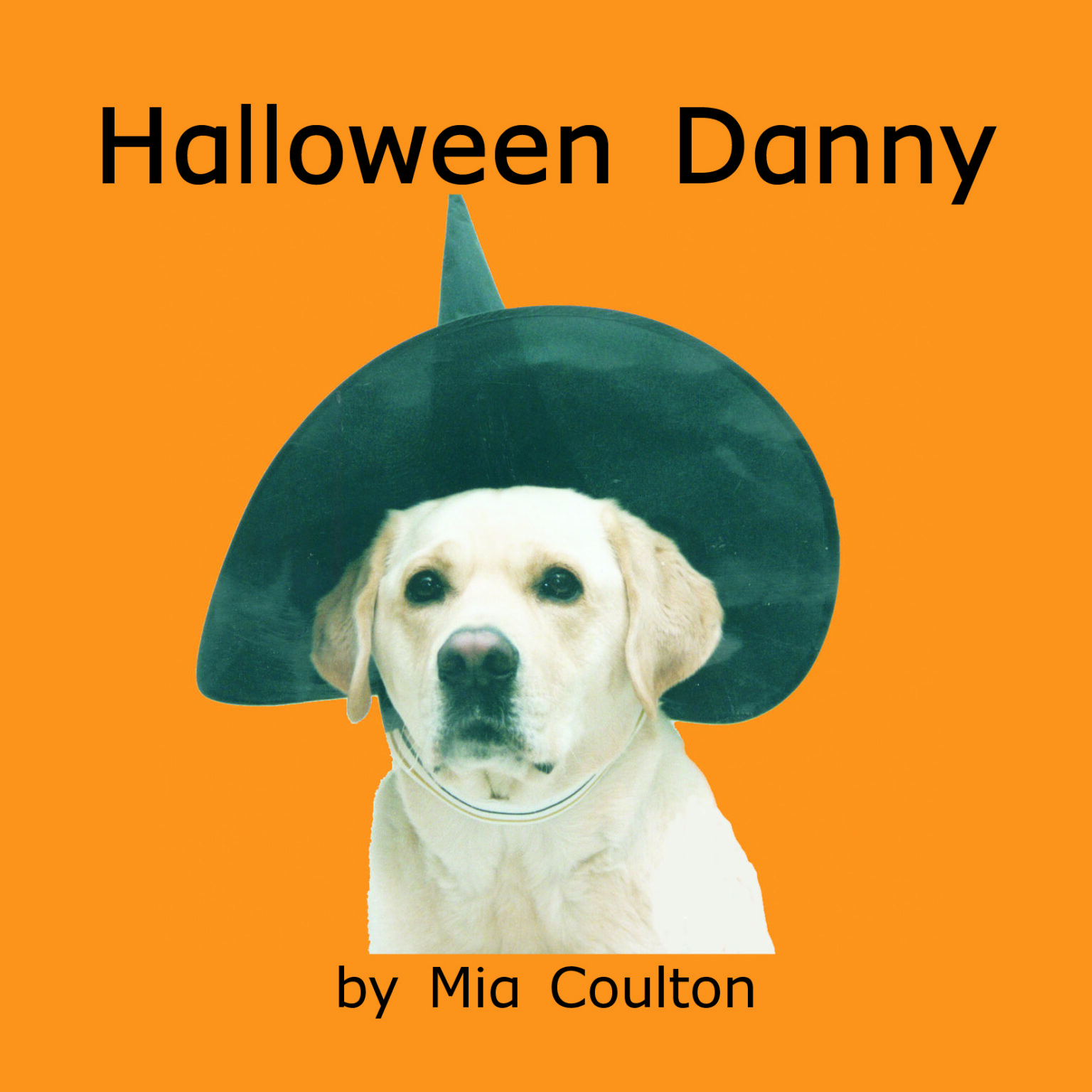 Danny's hats come in many different shapes and colors.