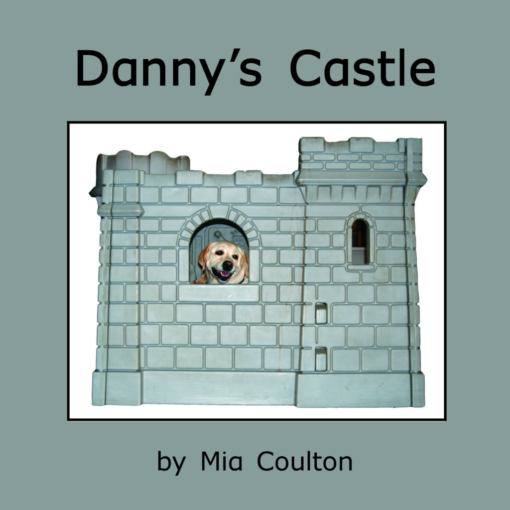 Danny and Abby like to play pretend in Danny's Castle.