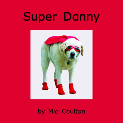 Super Danny makes a costume.
