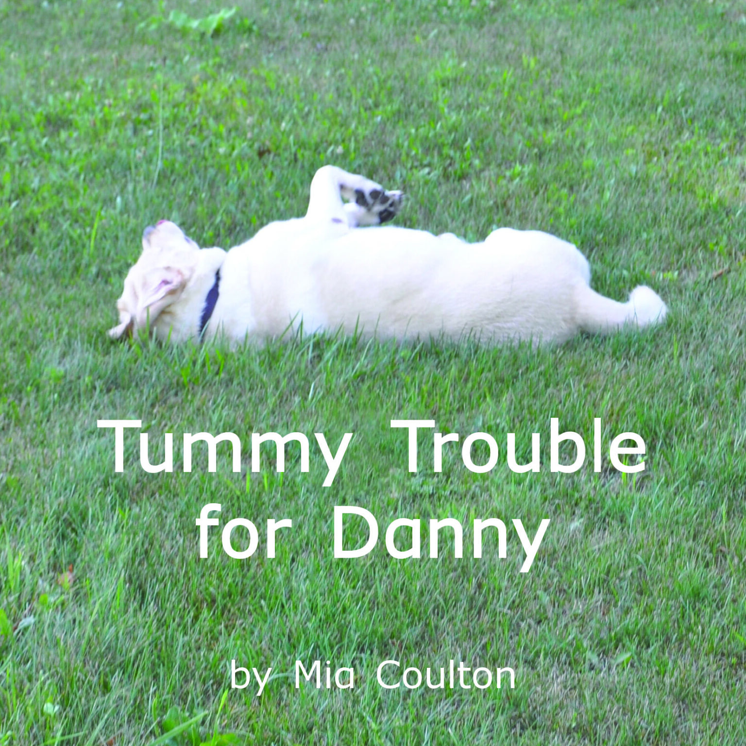 In Tummy Trouble for Danny, Danny eats too many crab apples.