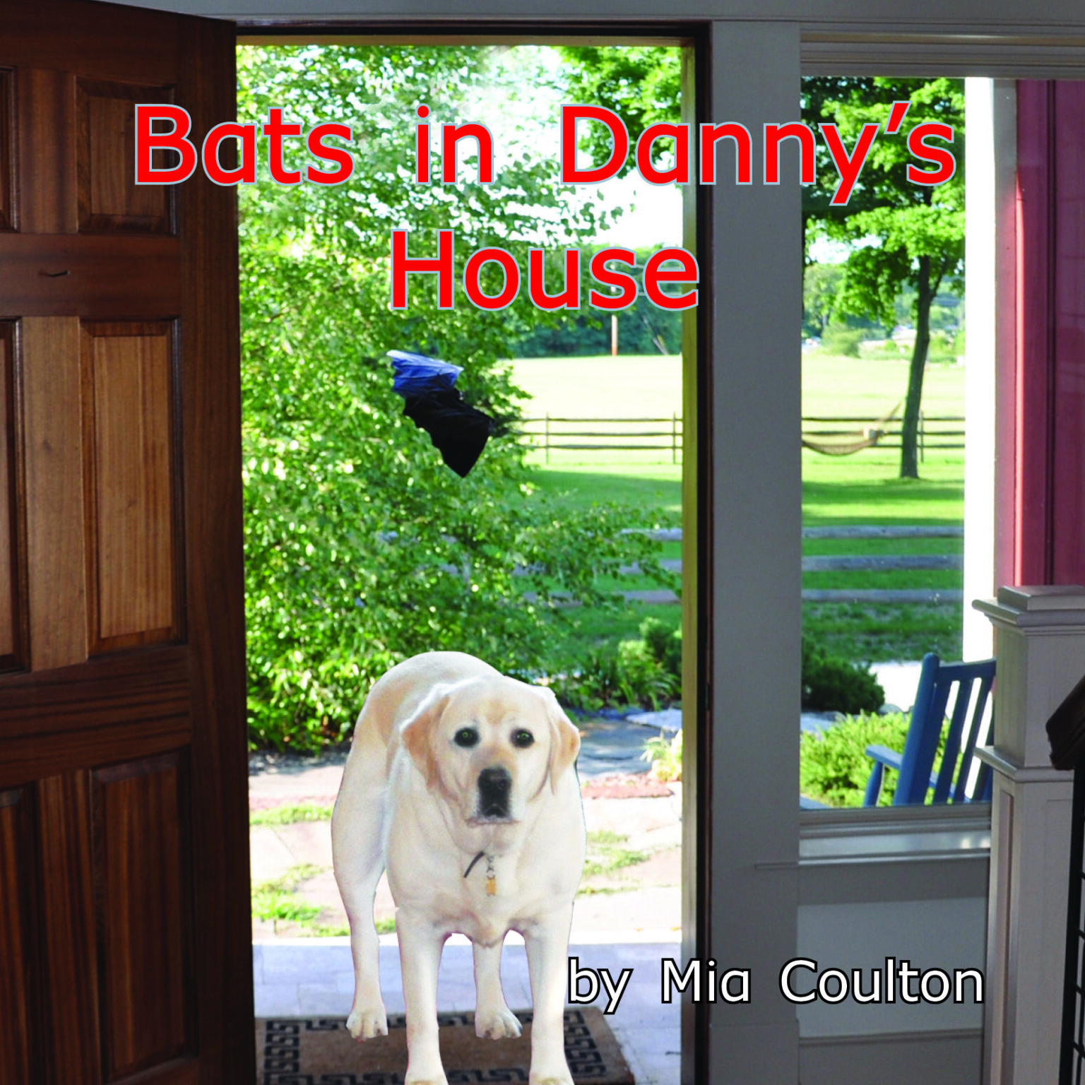 There are bats in Danny's house! Who will save Danny?