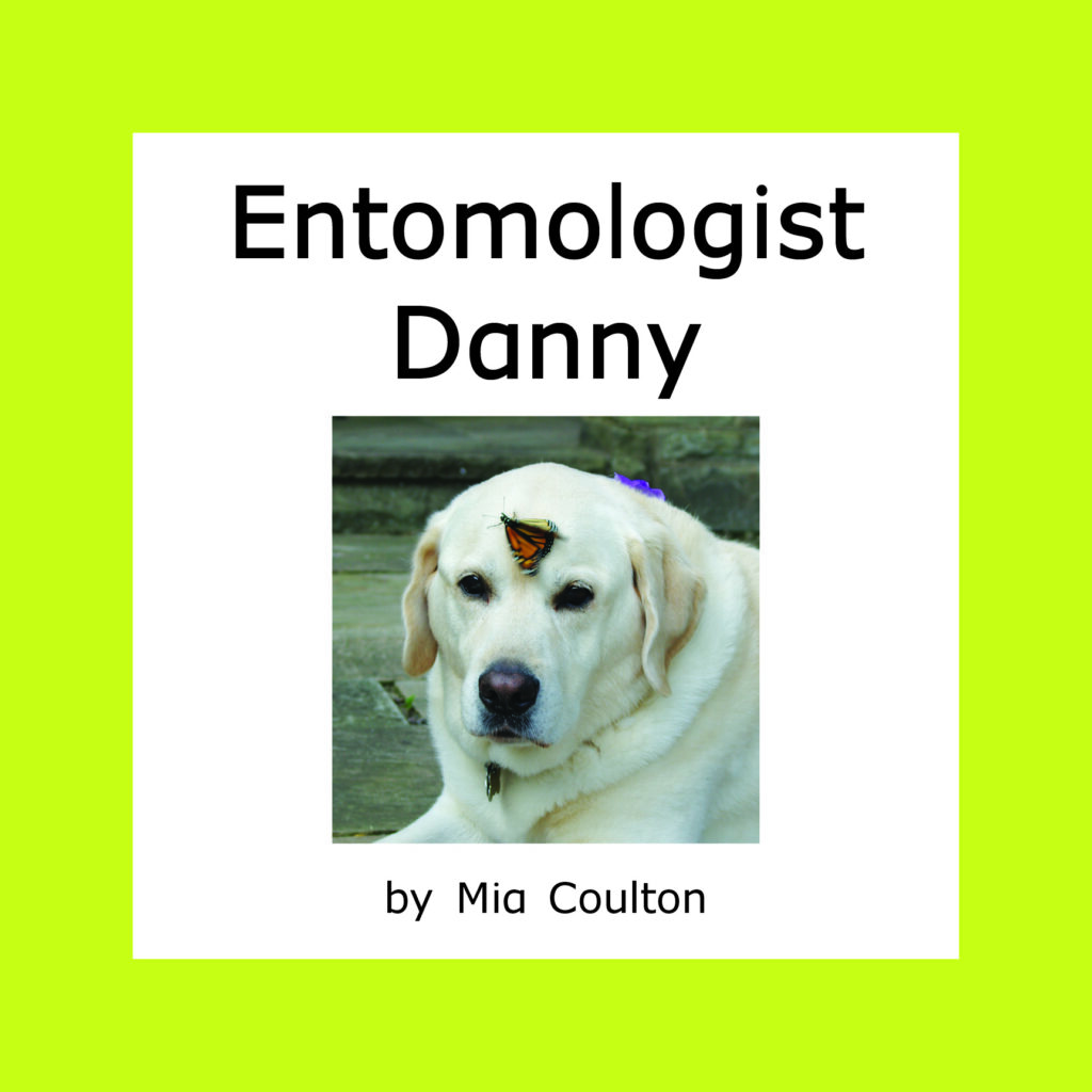 Danny is a botanist and explores the plants in his yard.