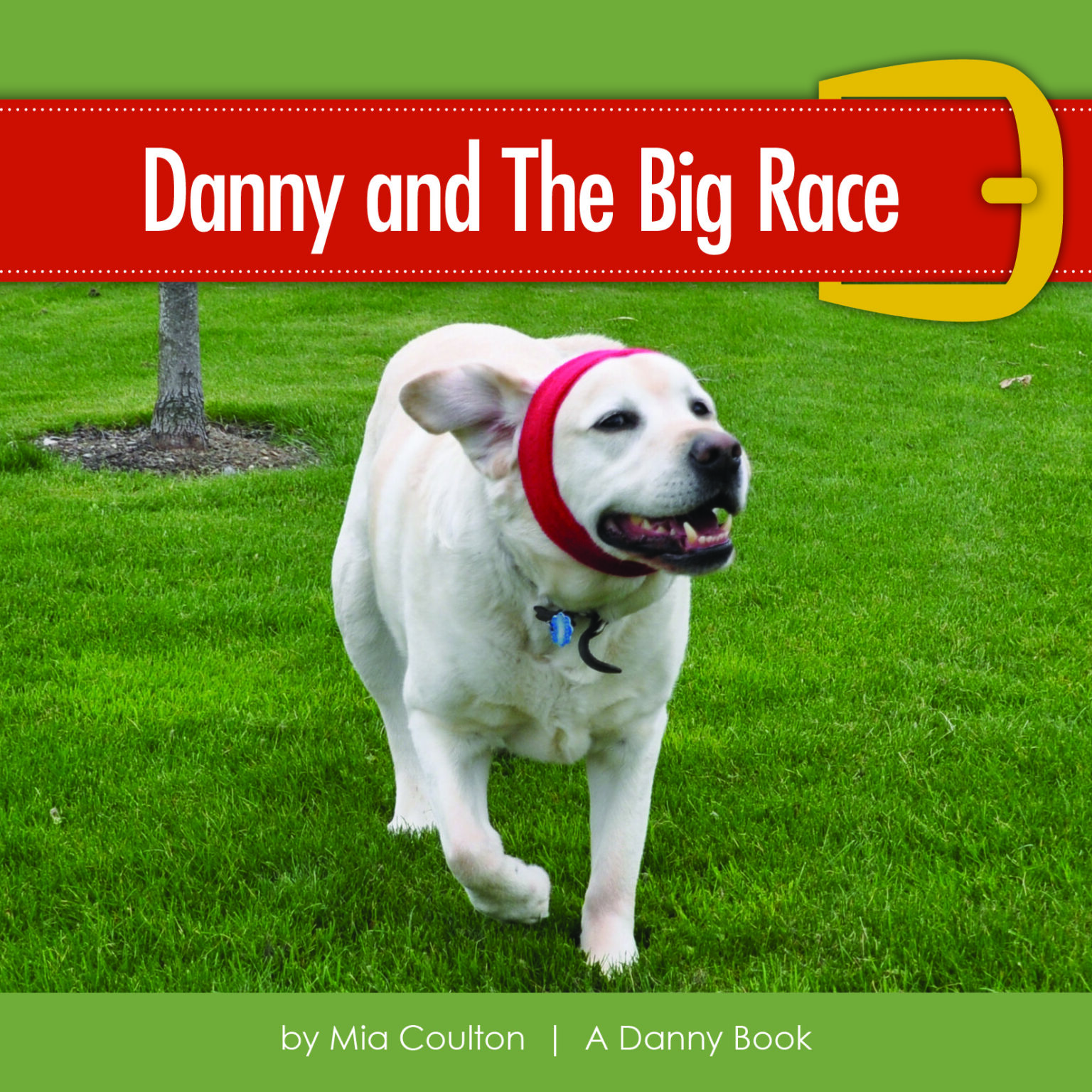 Danny and his dog friends decide to have a race in the backyard.