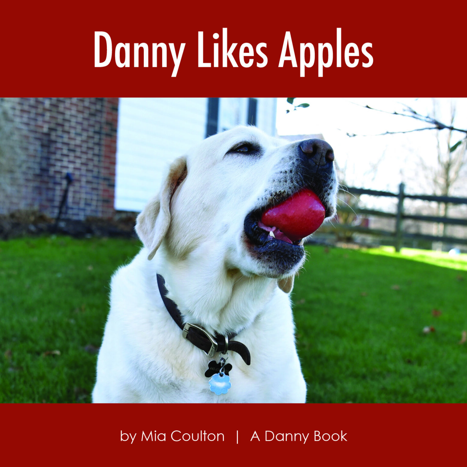 Danny likes apples and visits an apple orchard.