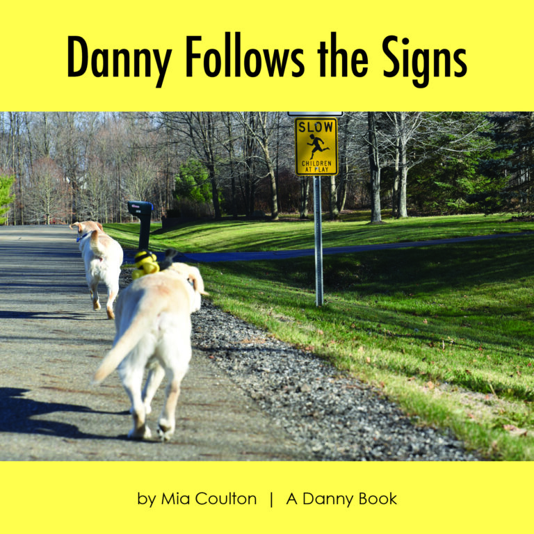 Danny follows the signs to get to the new park.