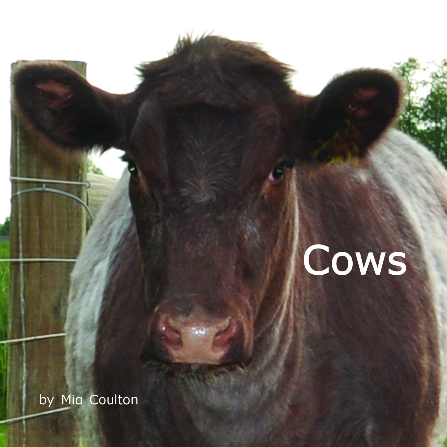 Learn how cows on a farm eat, move about, and communicate.